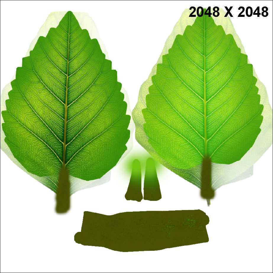 plant leaf 3d model