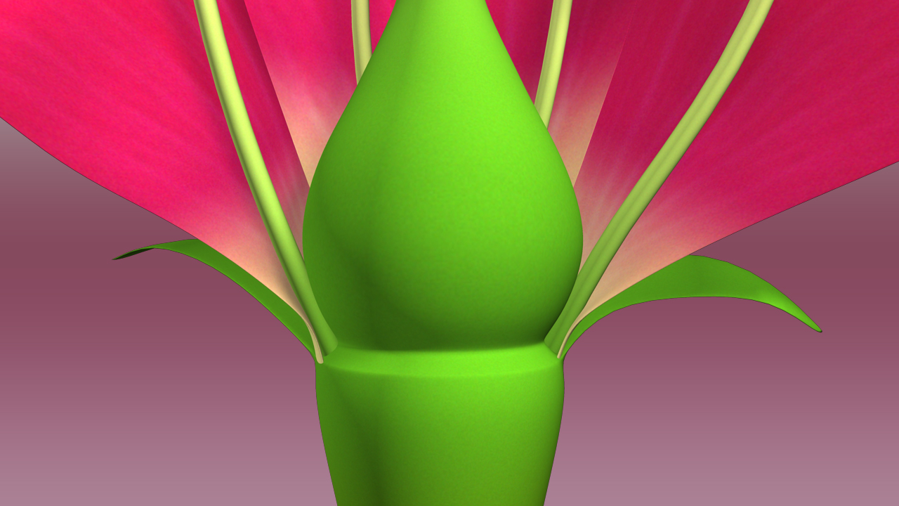flower biological 3d obj