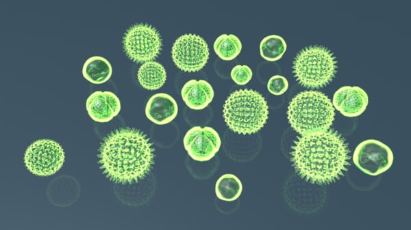 3d plasmodium malaria parasite model