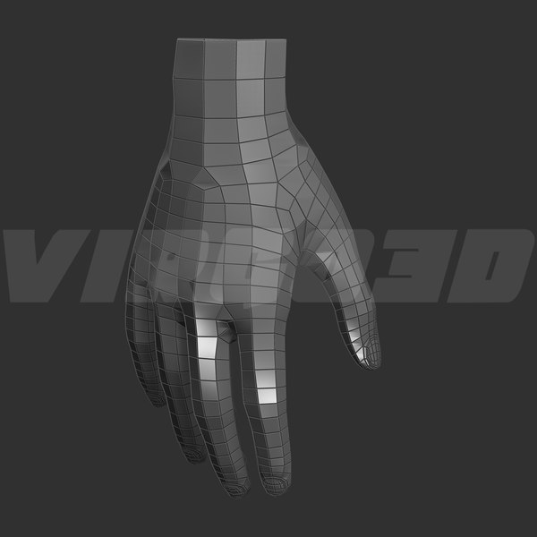 basic hand rigged 3d max