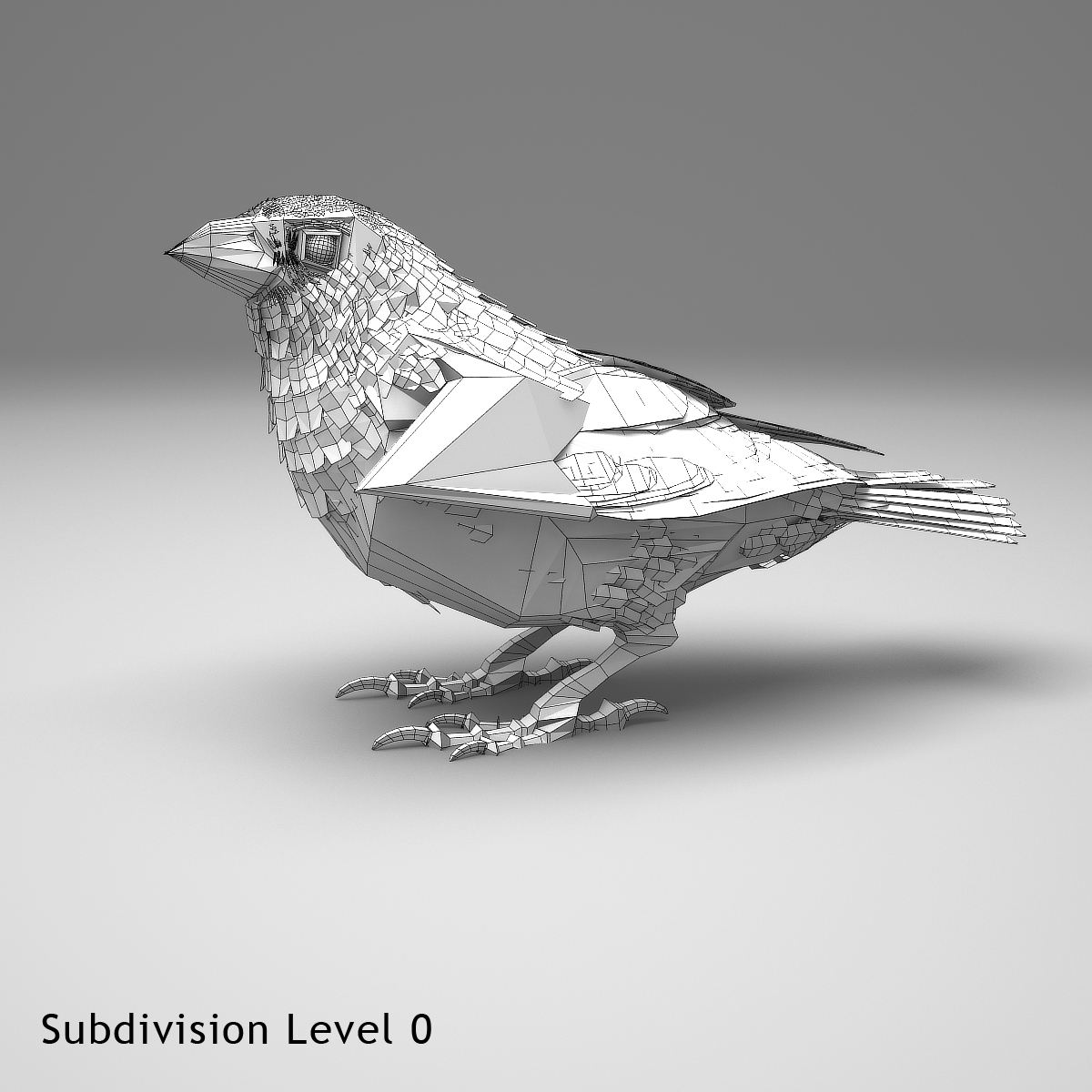 3d house finch model