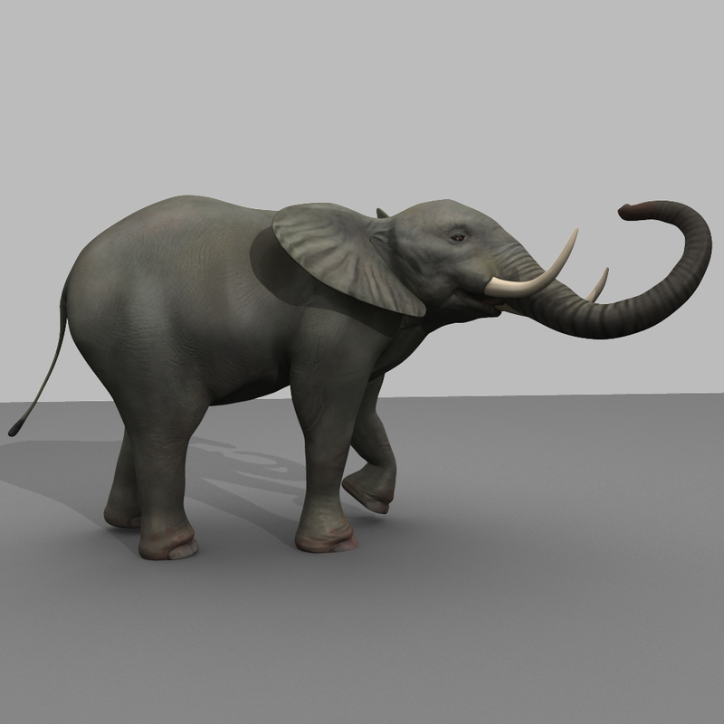 elephant rigged max