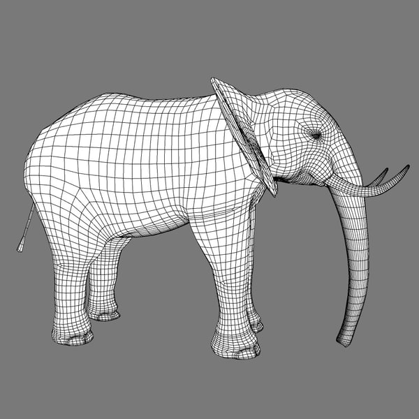 elephant rigged max