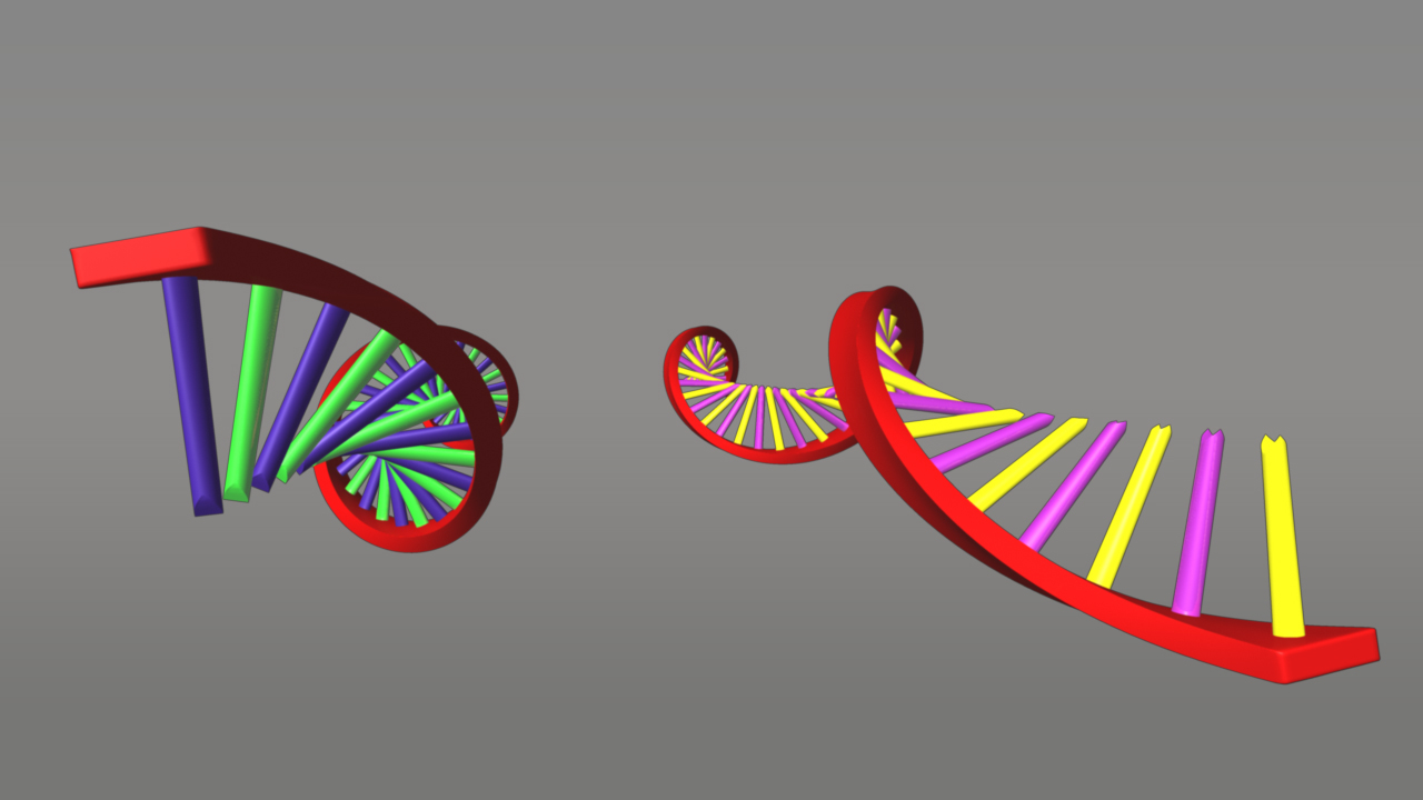 protein synthesis 3d model