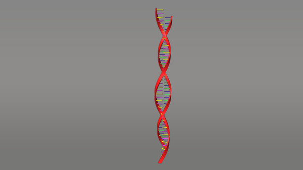protein synthesis 3d model