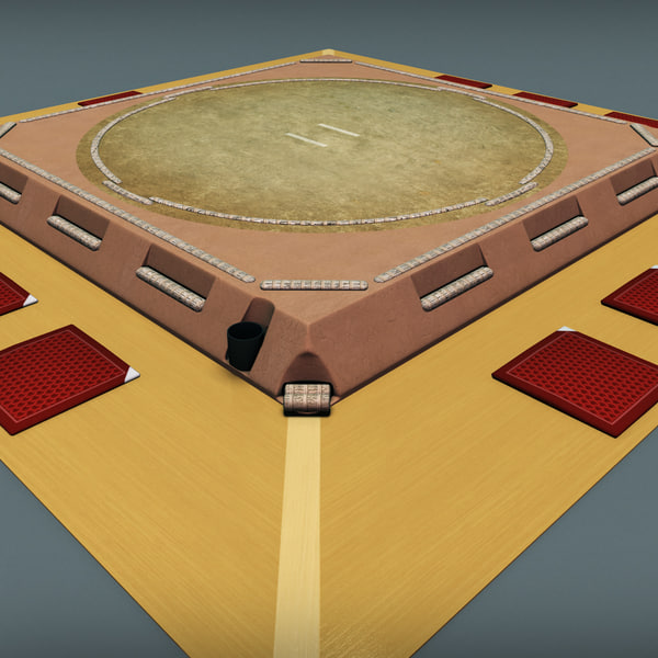 3d sumo ring