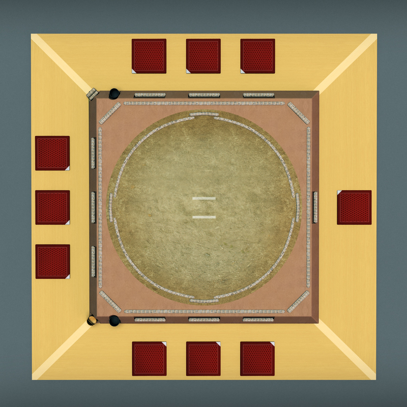 3d sumo ring