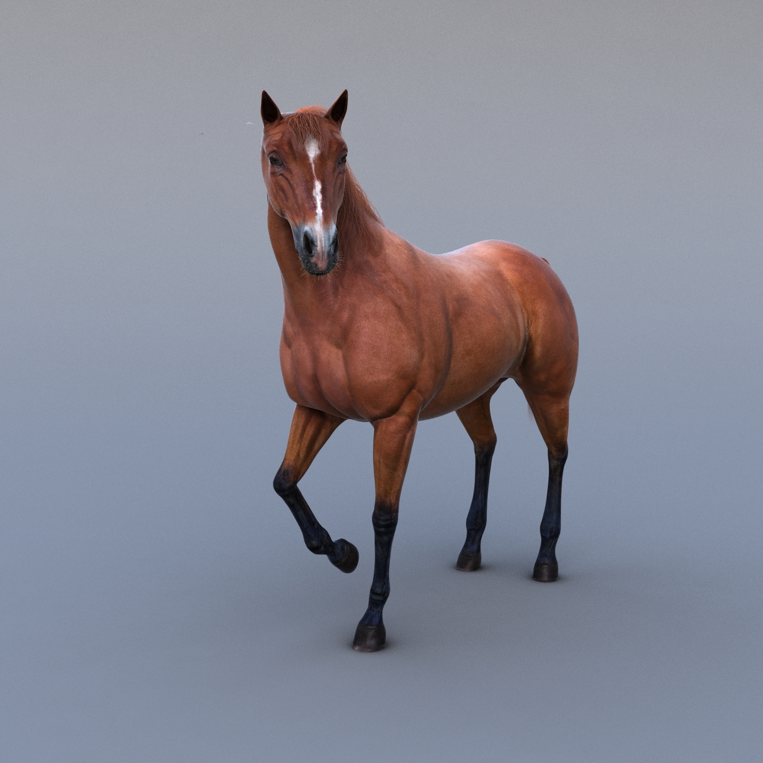 ma realistic horse rig
