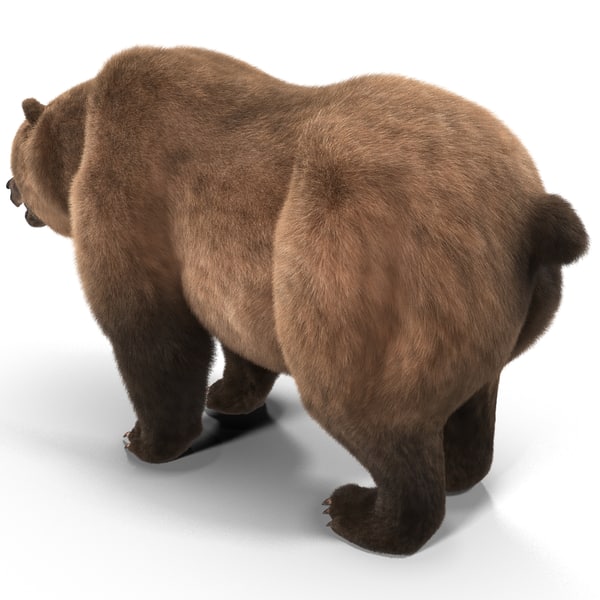 grizzly bear fur max