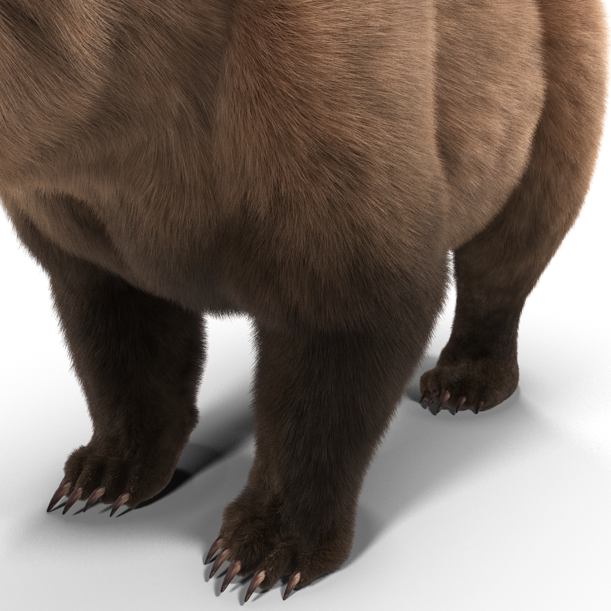 grizzly bear fur max