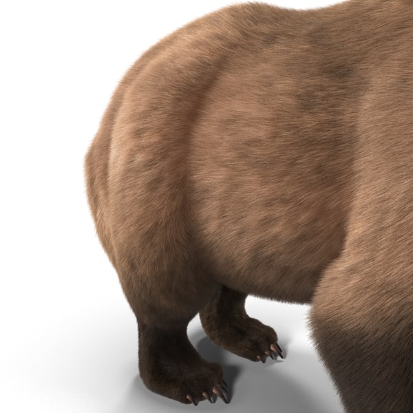 grizzly bear fur max
