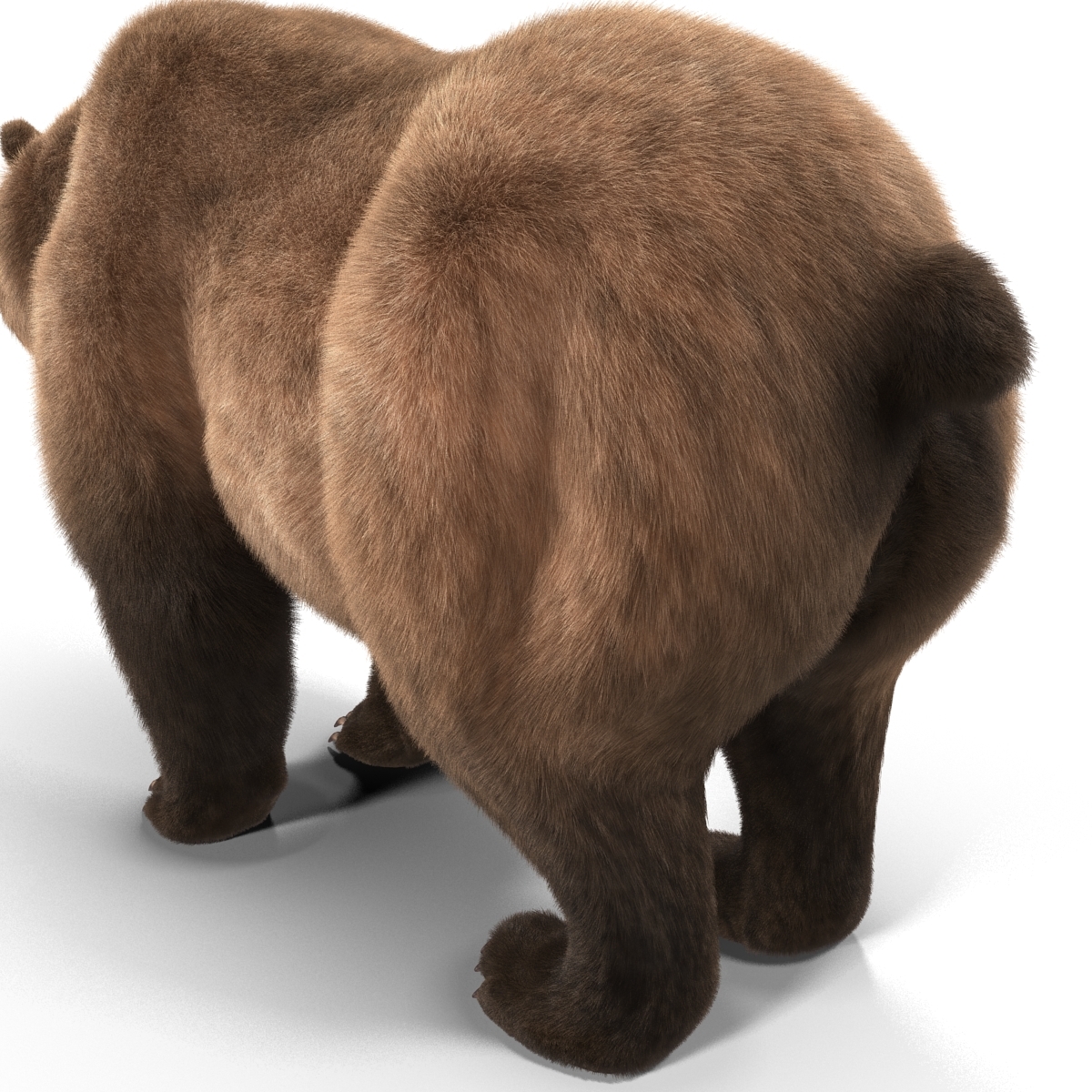 grizzly bear fur max