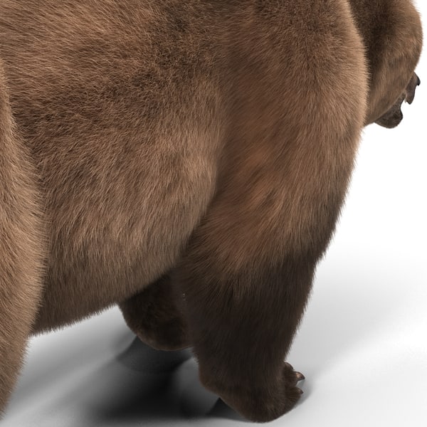 grizzly bear fur max