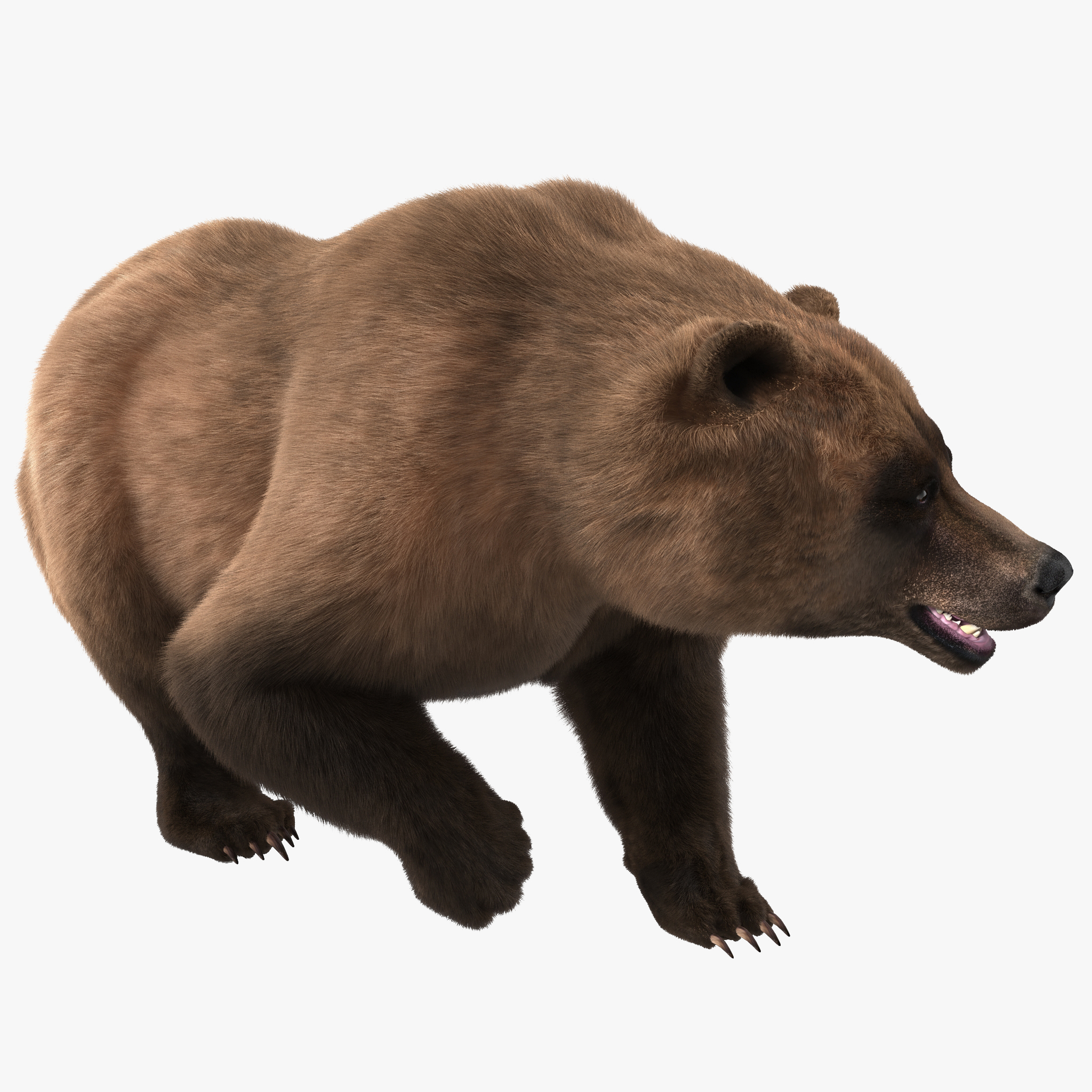 max grizzly bear pose 2