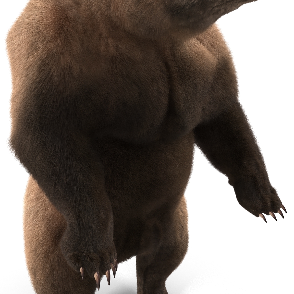 3d model of grizzly bear pose 3