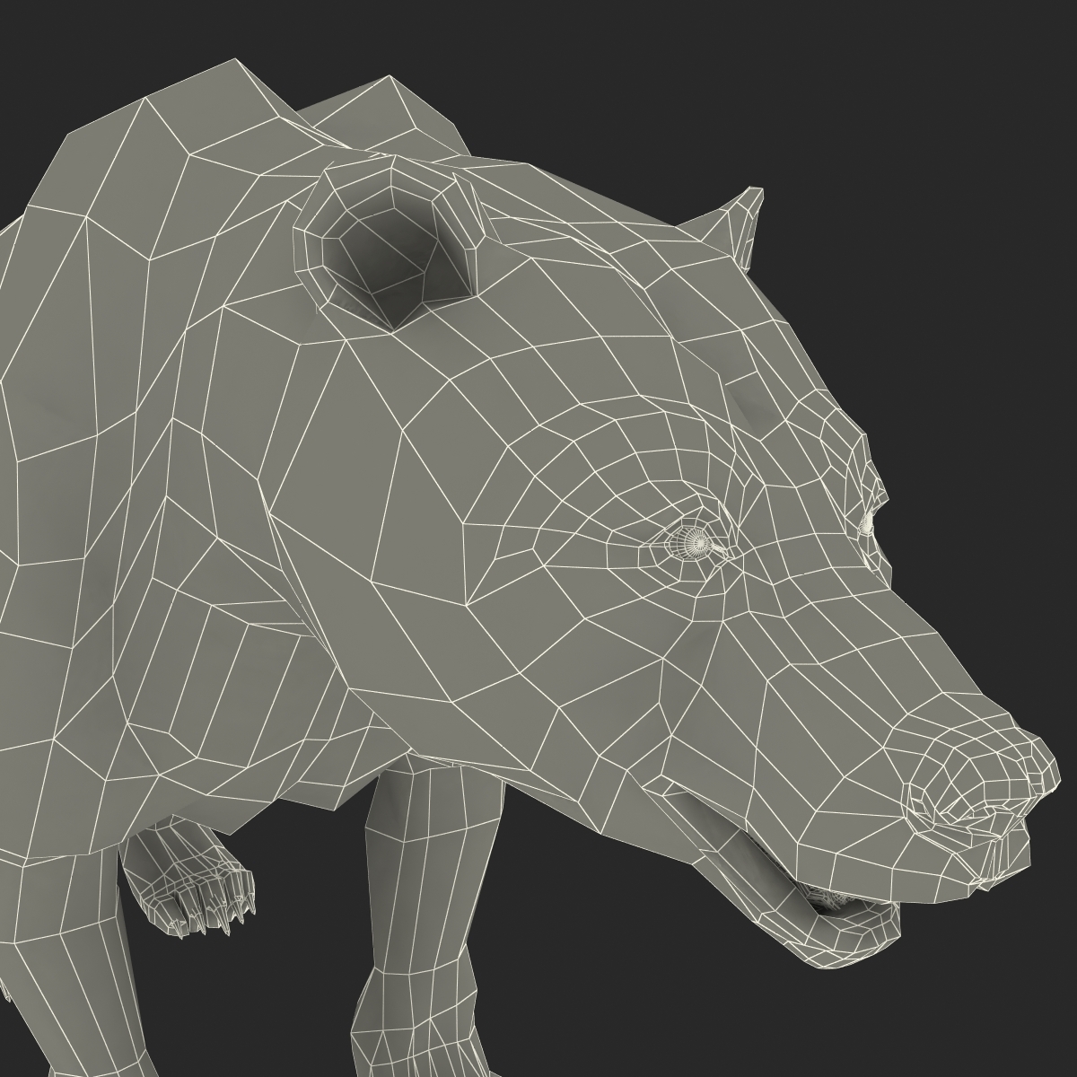 3d grizzly bear model