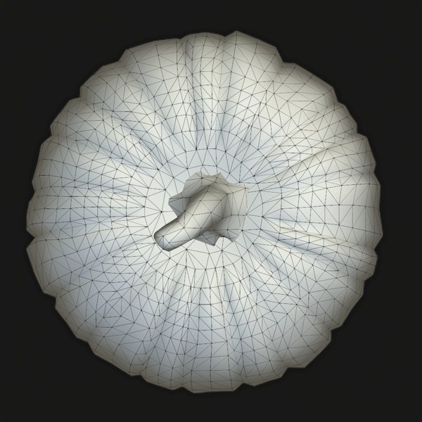 3d realistic pumpkin model