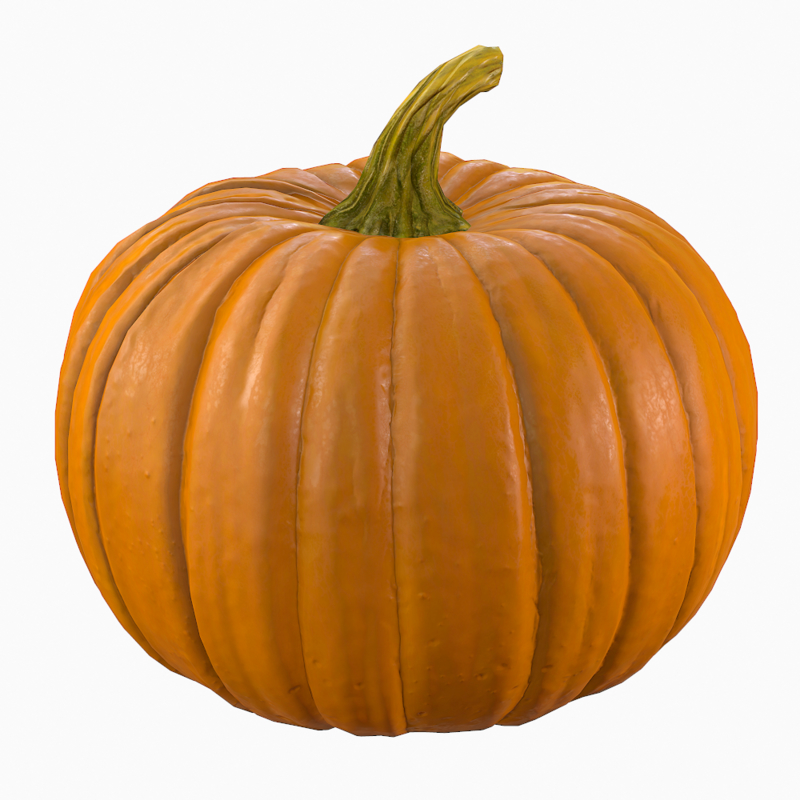 3d realistic pumpkin model