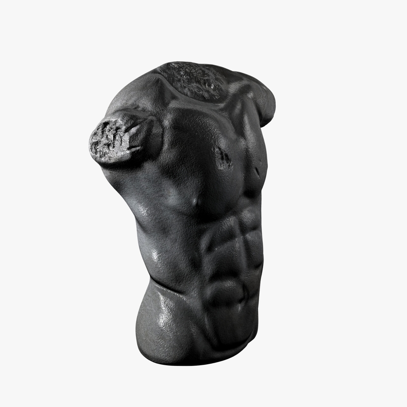 3dsmax sculpture upper body anatomy