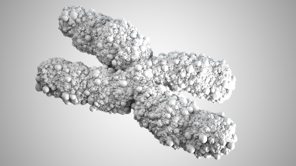 Cromosoma 3D Modelos para Descargar | TurboSquid