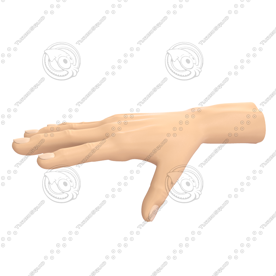 3d cartoon hand model