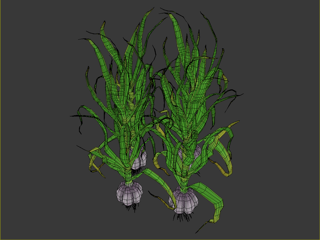 3dsmax garlic planting