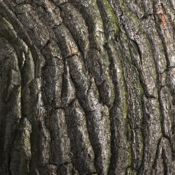 Texture Photoshop tree bark alpha