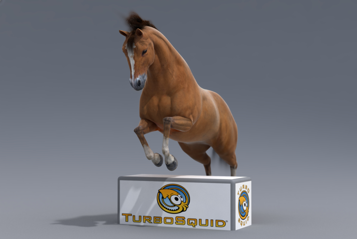 3d realistic horse rig