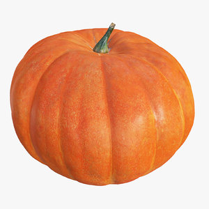 hd scaned pumpkin polys 3d model