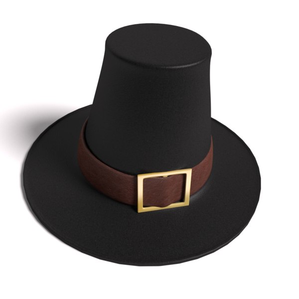 pilgrim hat 3d model