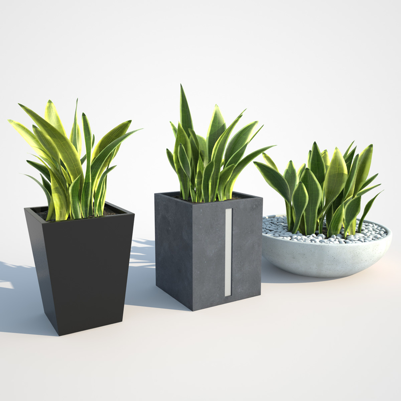 3d max indoor outdoor plants