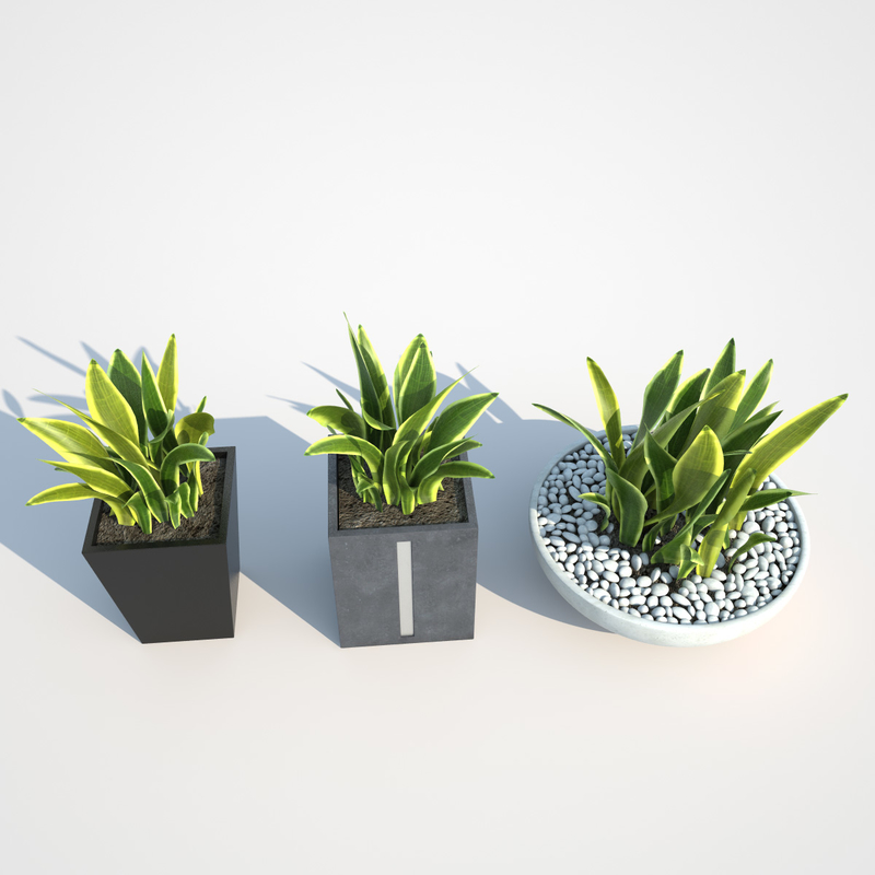 3d max indoor outdoor plants