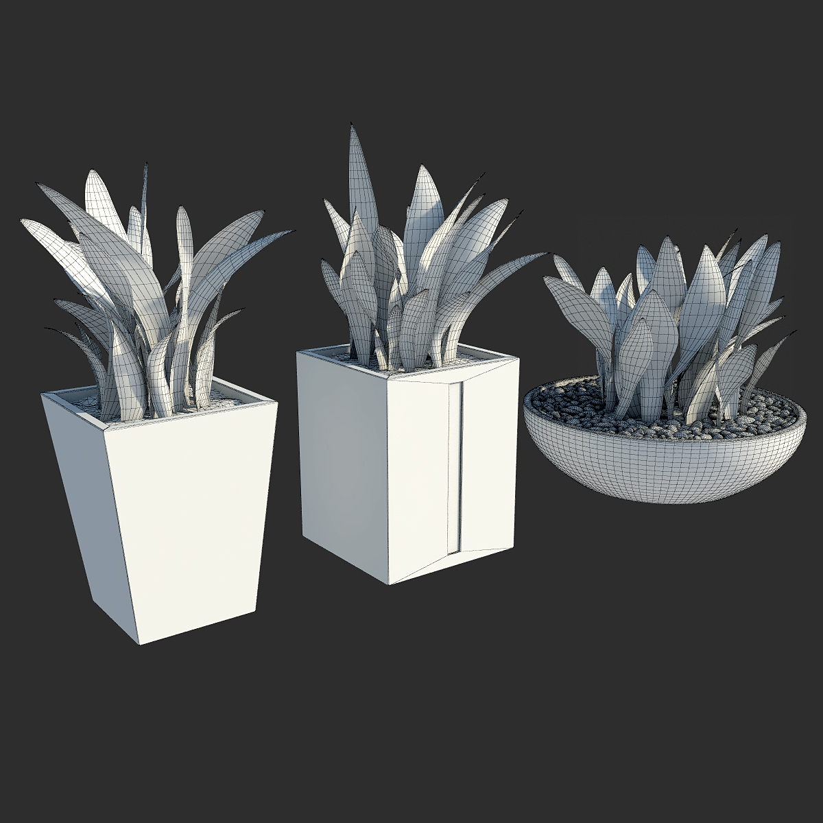 3d max indoor outdoor plants