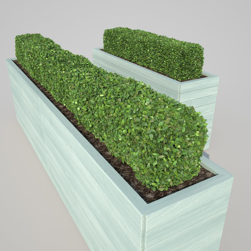 modern hedge 2 max