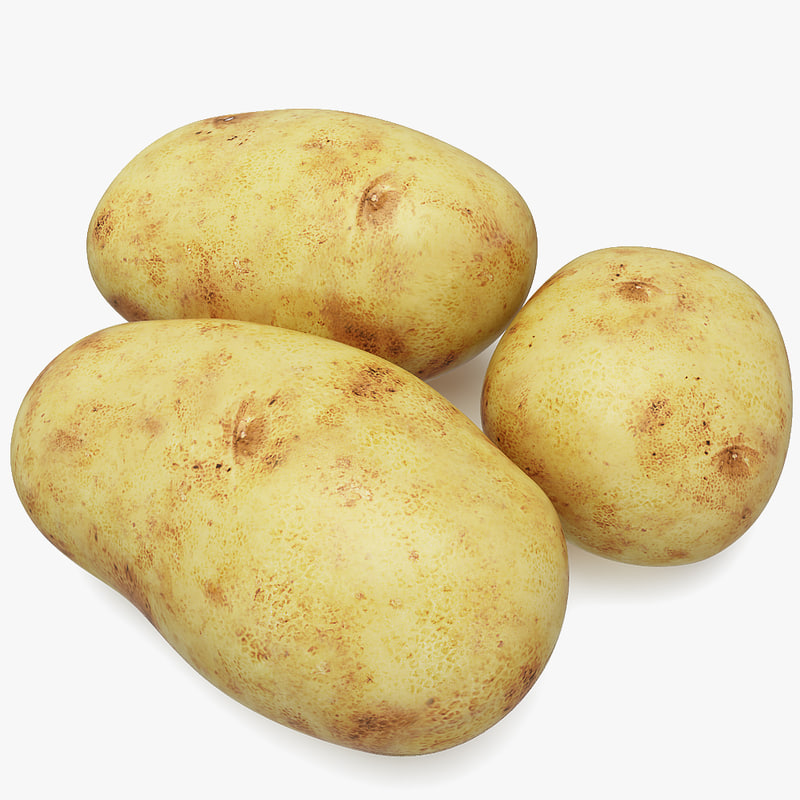potato 3d model