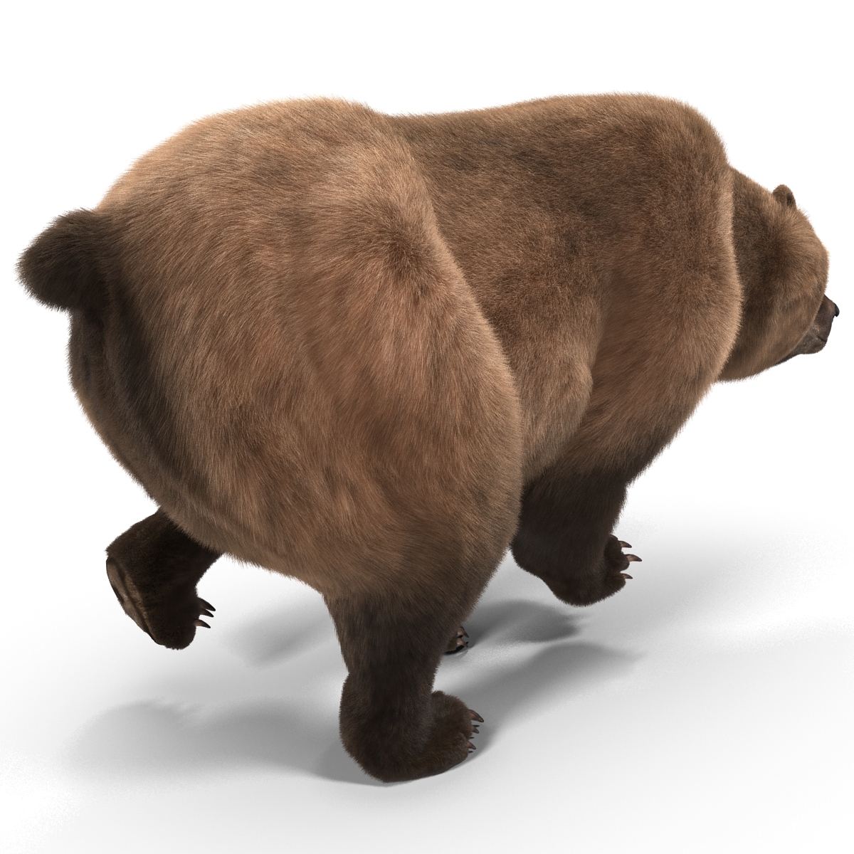 3d grizzly bear pose 4