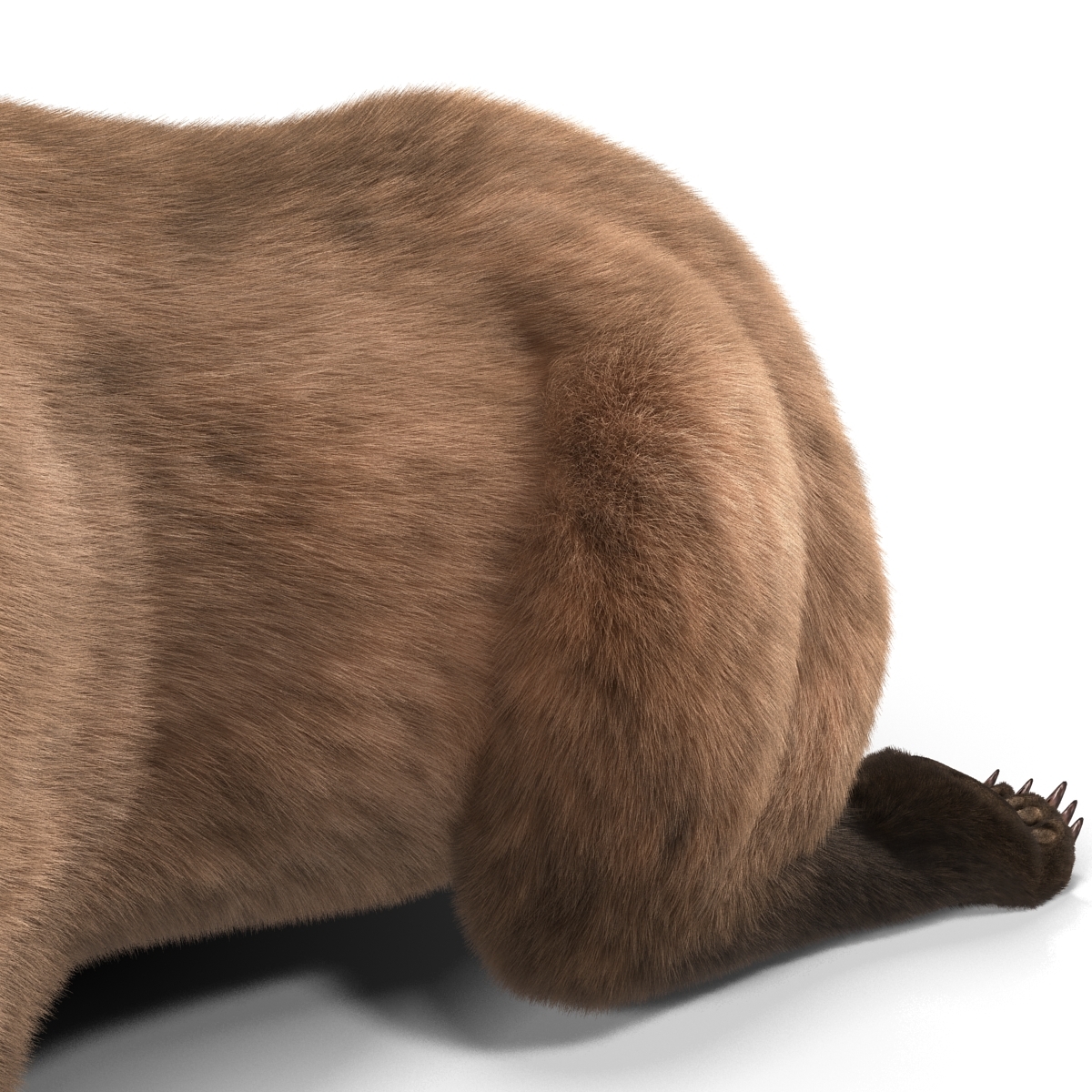 3d grizzly bear pose 5