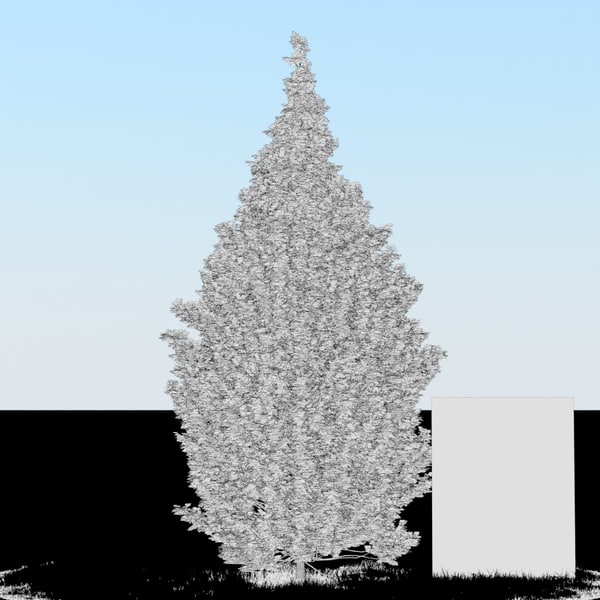realistic thuja tree 3d max