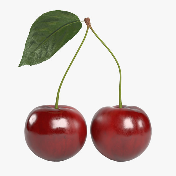 cherries realistic
