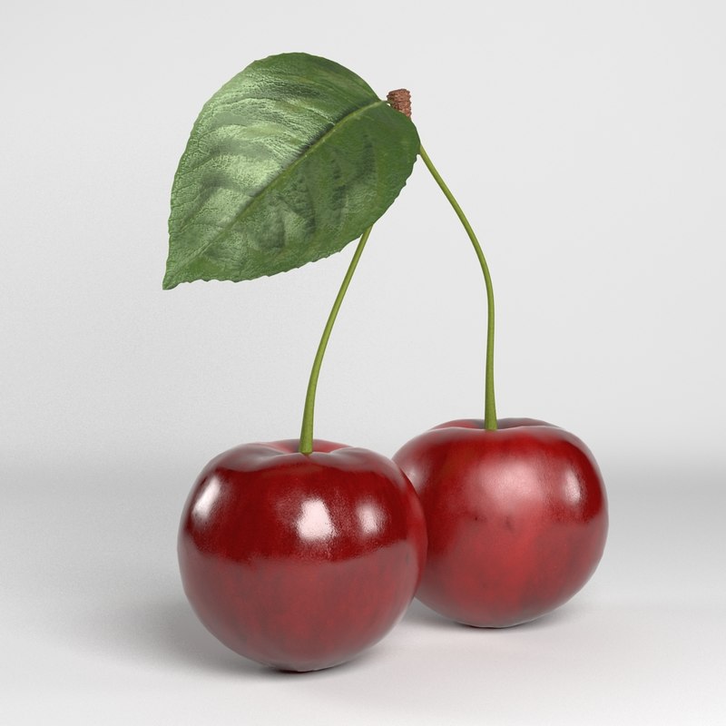 cherries realistic