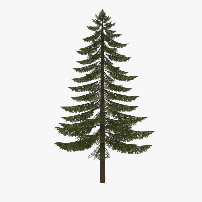 3ds max fir tree