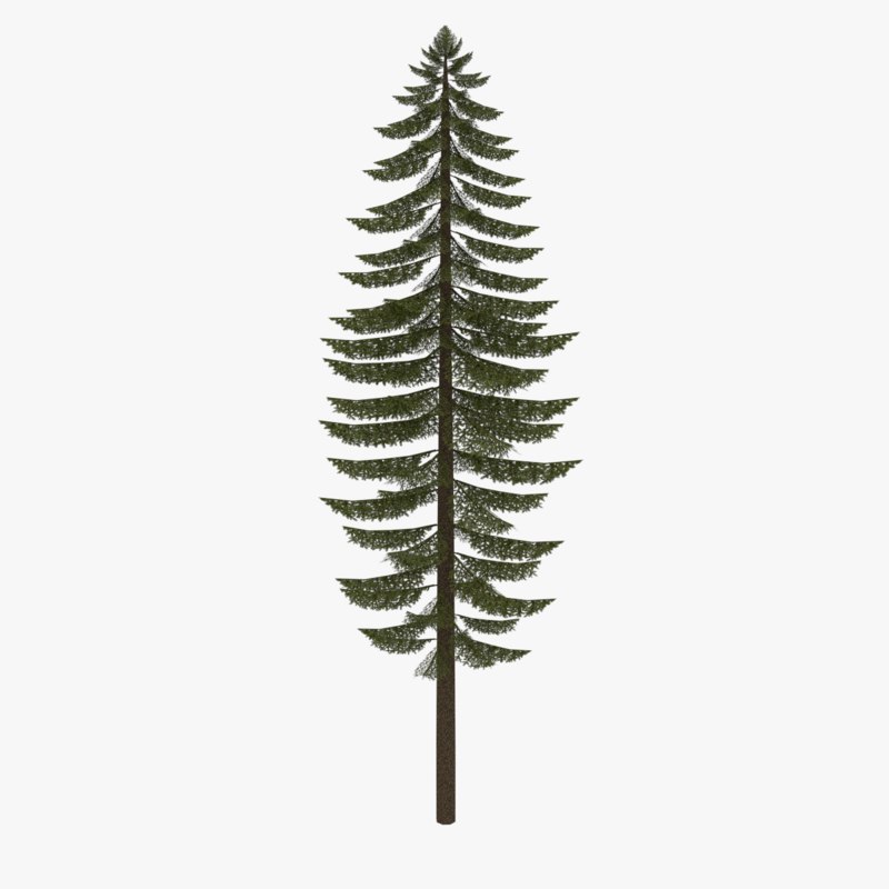 fir tree 3ds
