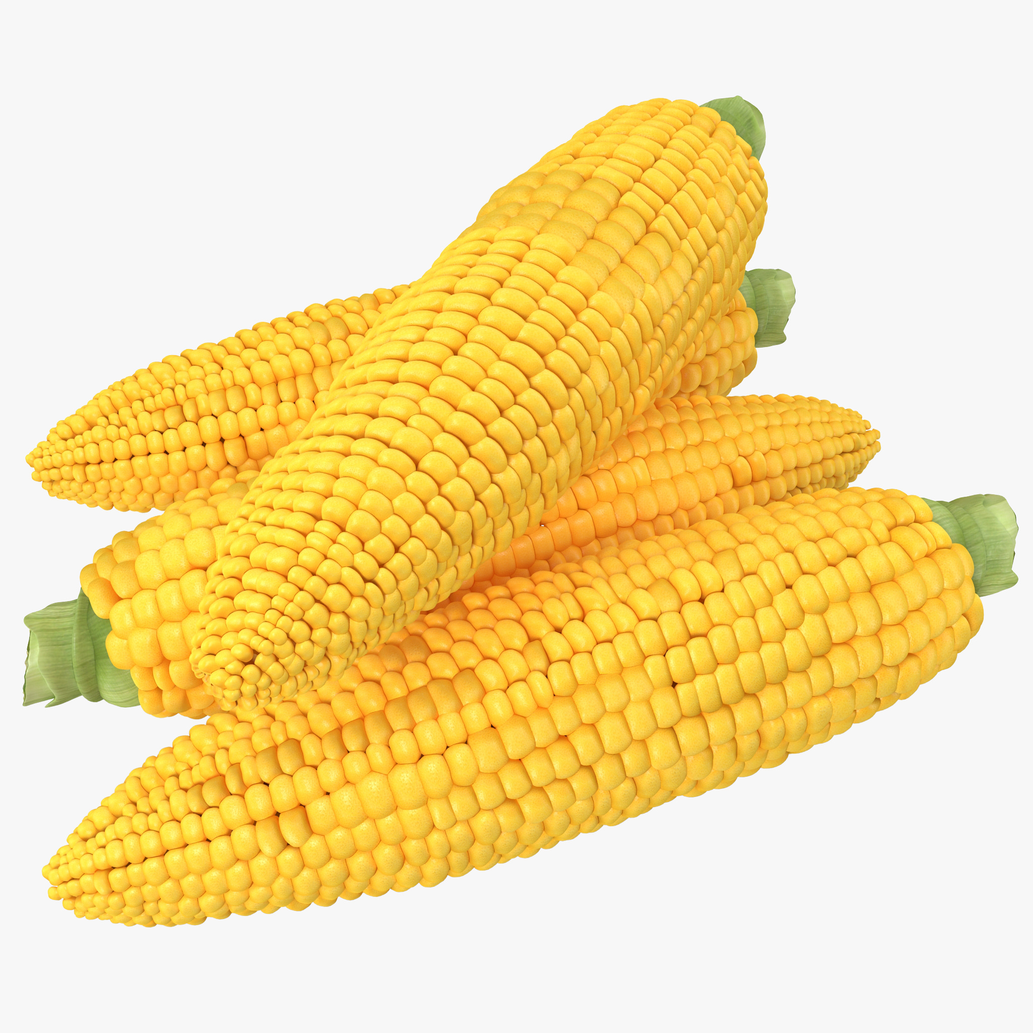 Corn 3D Models for Download | TurboSquid