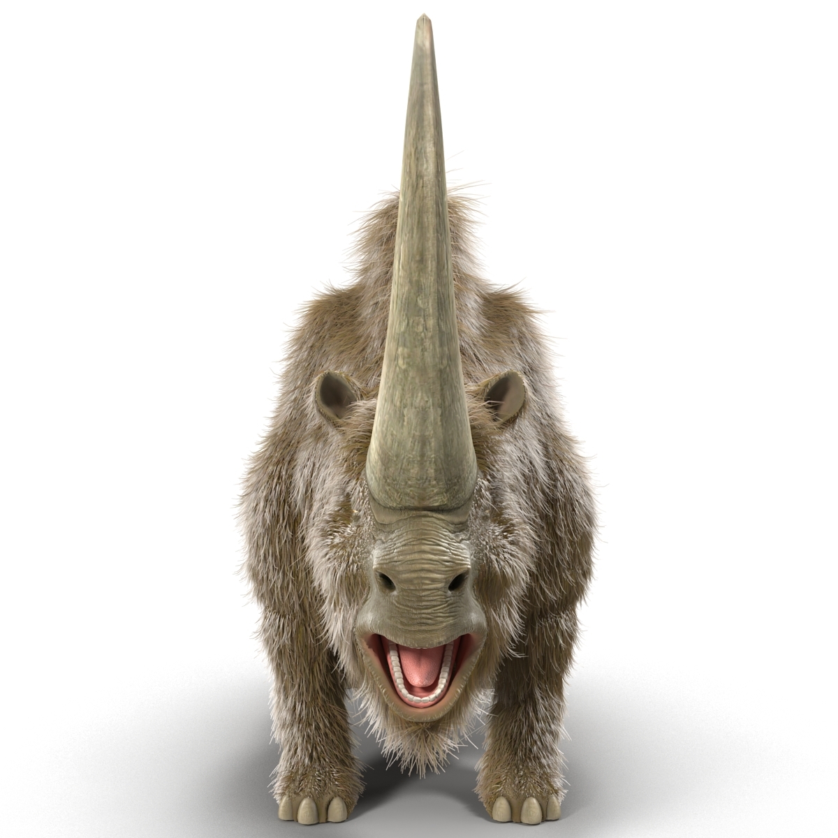 max elasmotherium