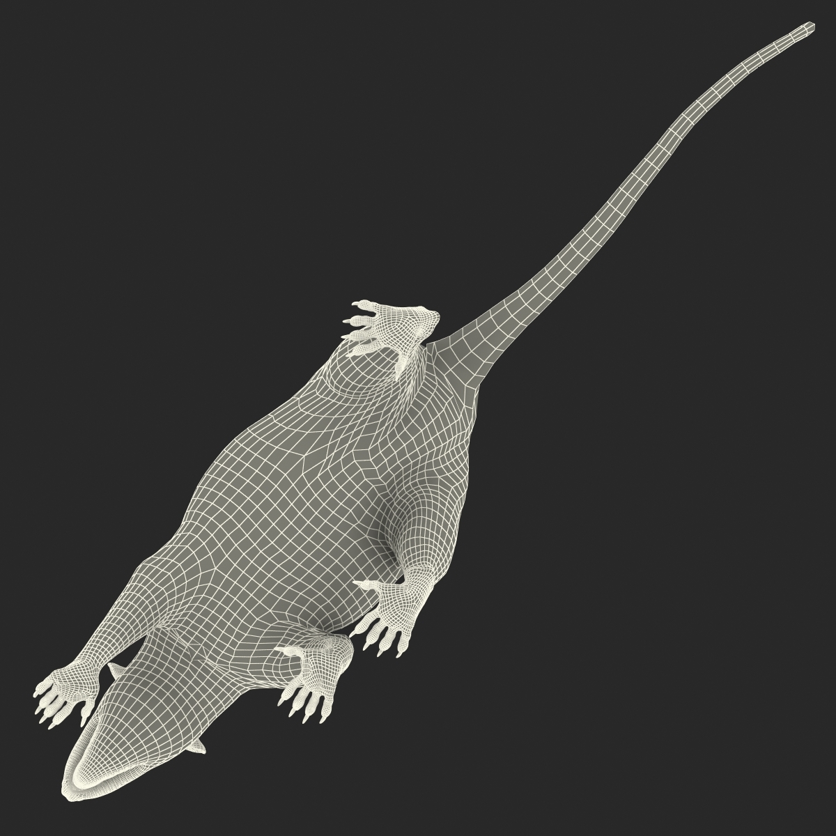 possum pose 1 3d model
