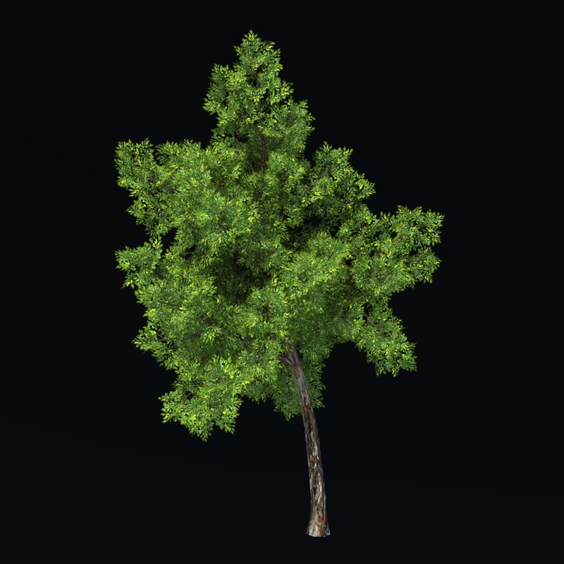 generic tree 3d model