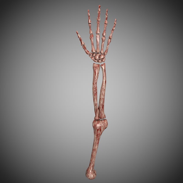 zombie skeleton arm 3d obj