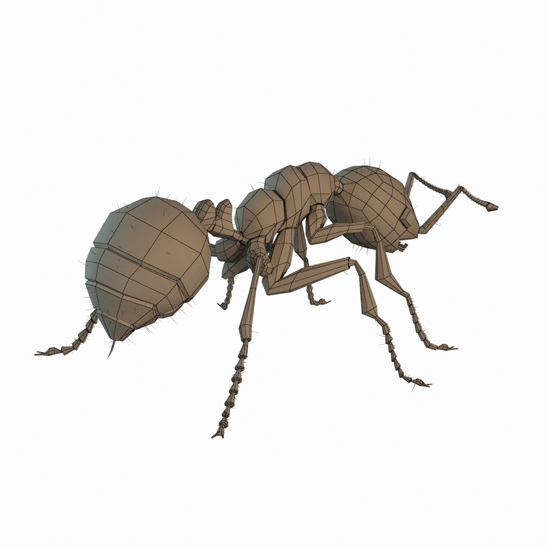 ant rig 3d max