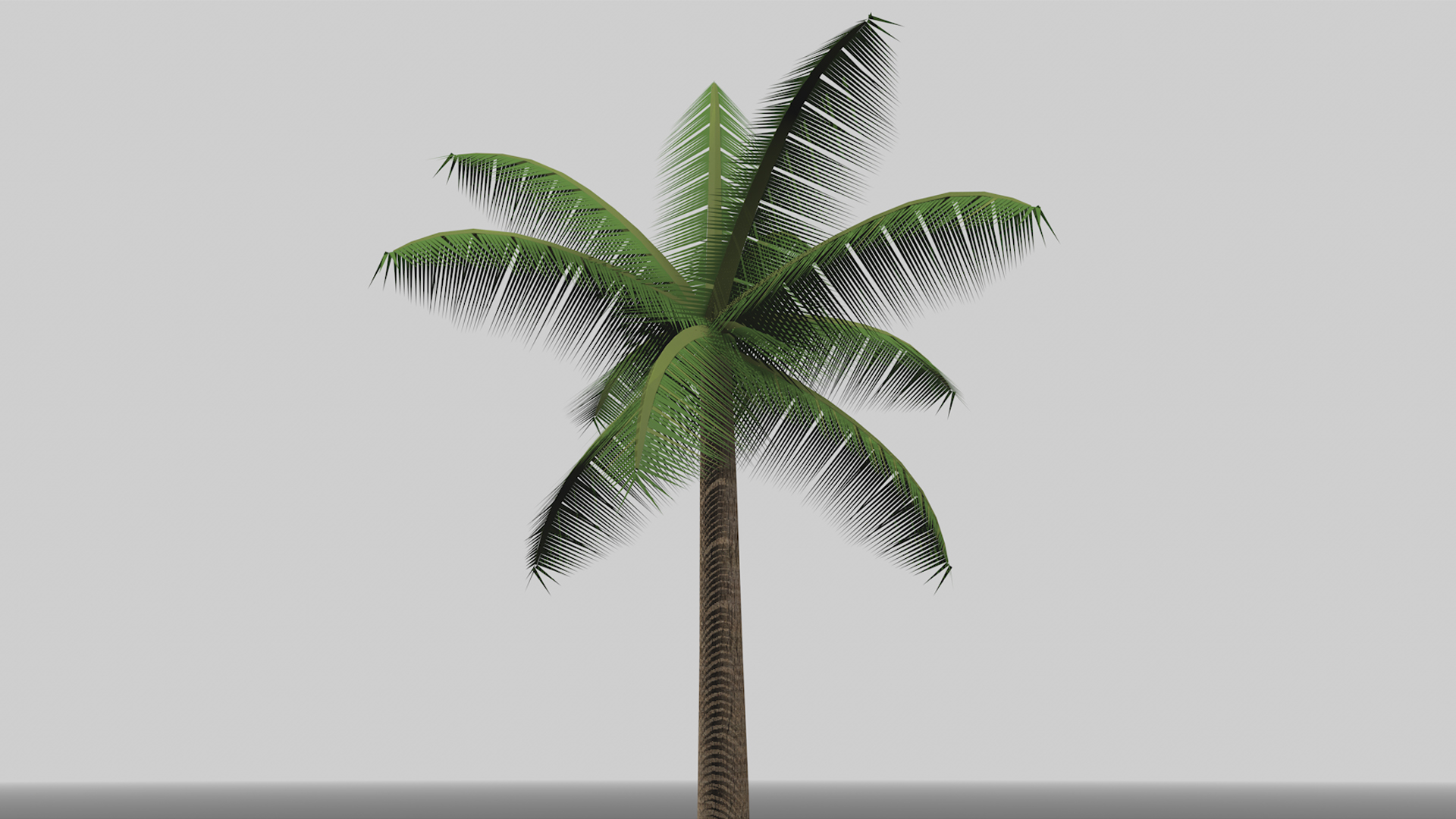 3d model palm tree
