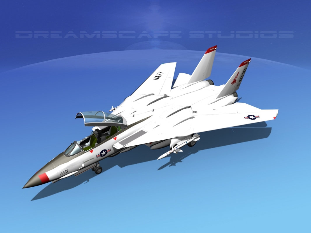 3d grumman f-14 f14 f-14d model